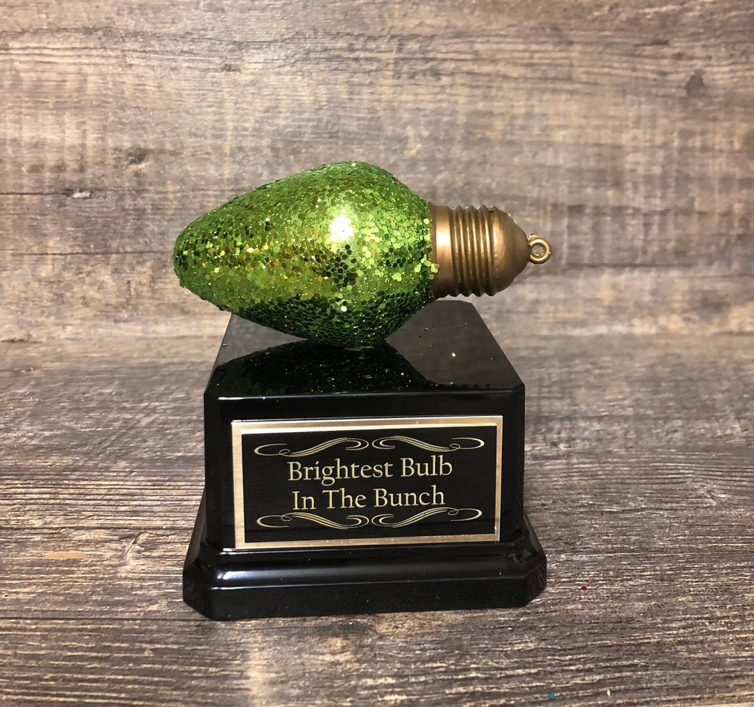 Mini Best Decorated House Christmas Lights Trophy Neighborhood ...