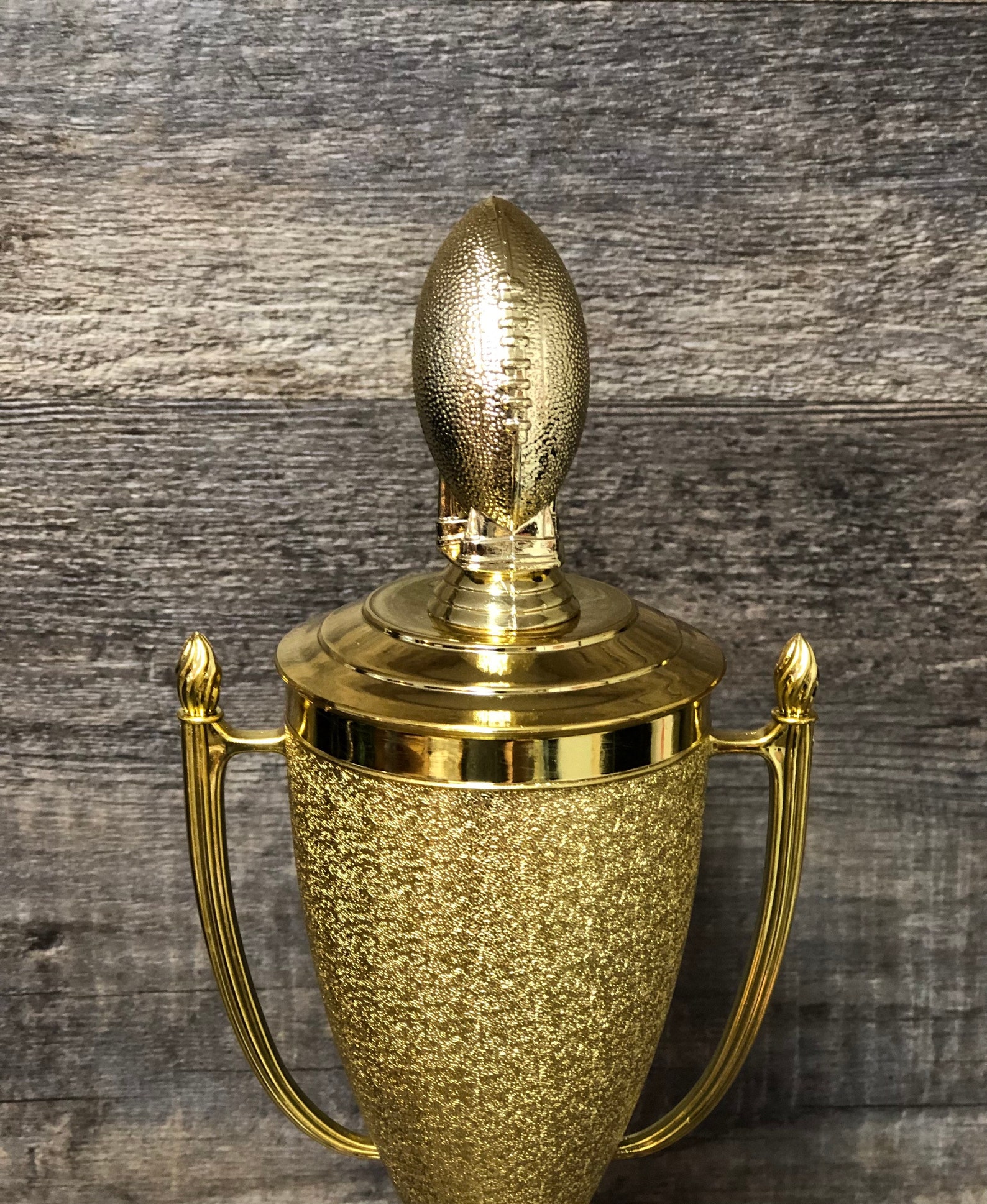 Fantasy Football Trophy FFL Trophy Champion Championship Cup - Etsy