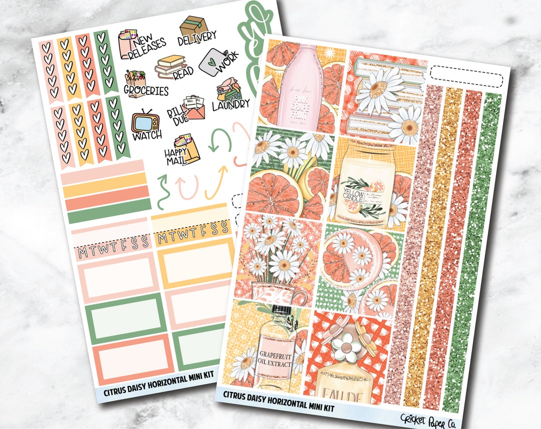 HORIZONTAL Planner Stickers Mini Kit Citrus Daisy - Etsy
