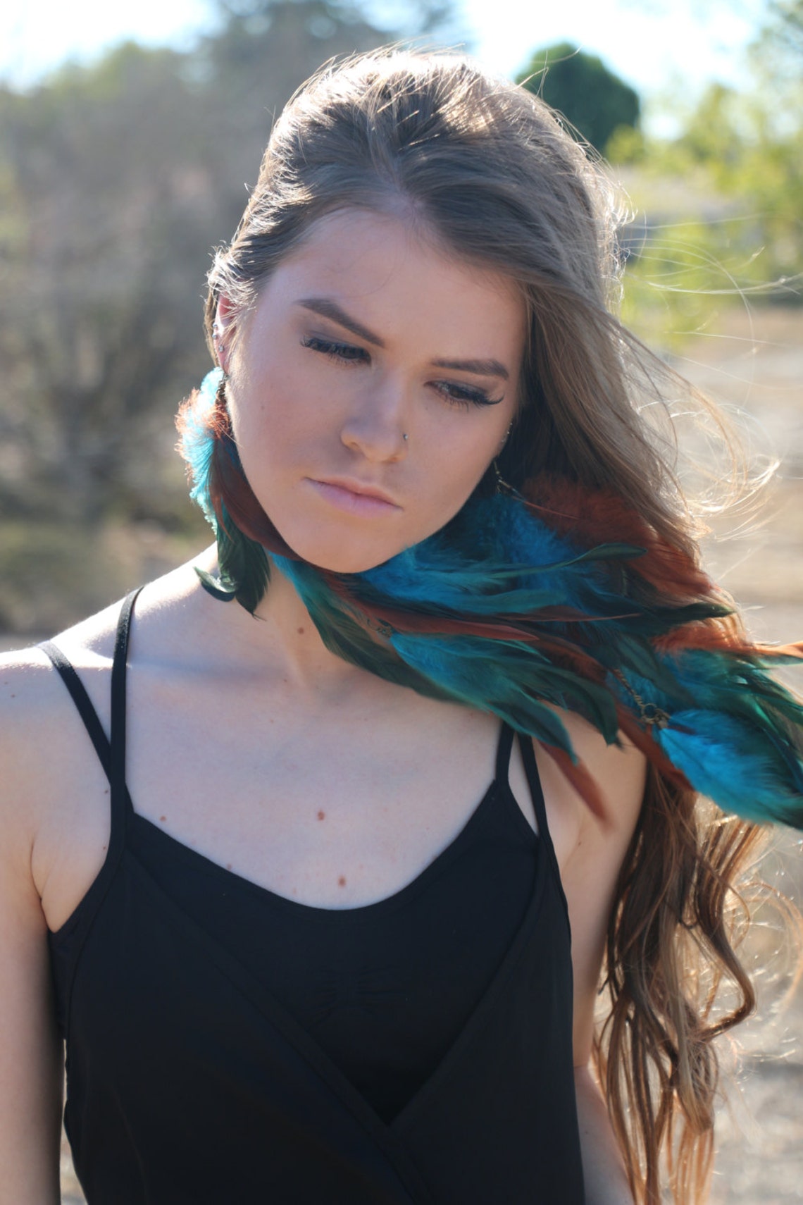 Gorgeous Blue Brown Peacock Feather Earrings Brown And Blue Etsy