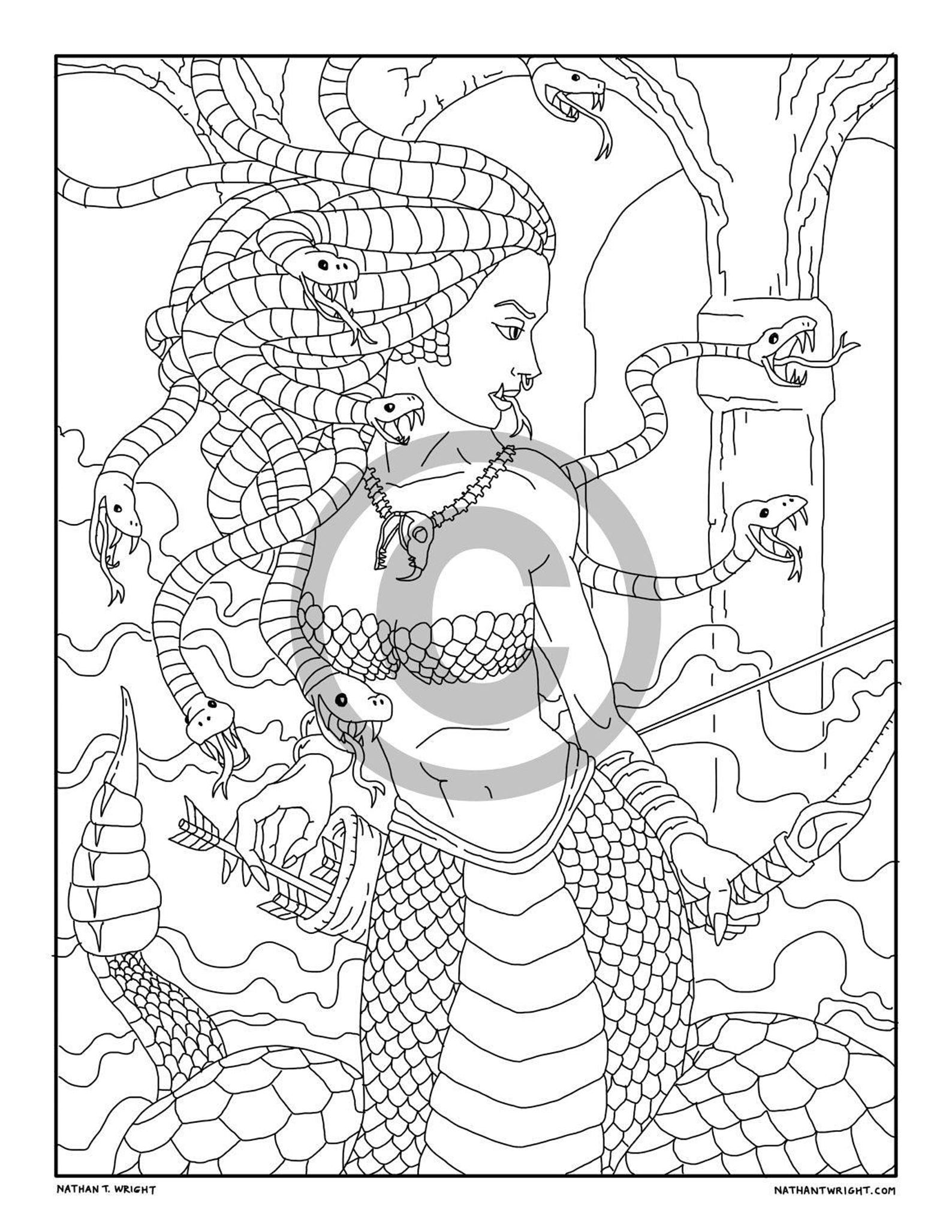 Cryptozoology Coloring Book, Mythical Creatures, 14 Pages (instant ...