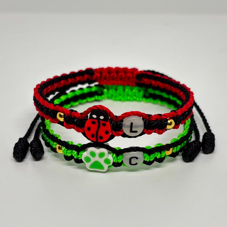 Ladybug X Cat - Etsy