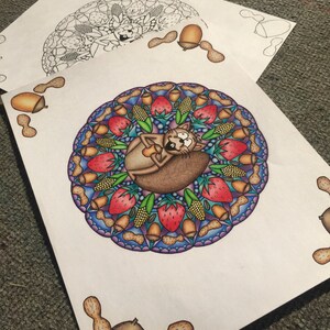 Squirrel Mandala Adult Coloring Page - Etsy