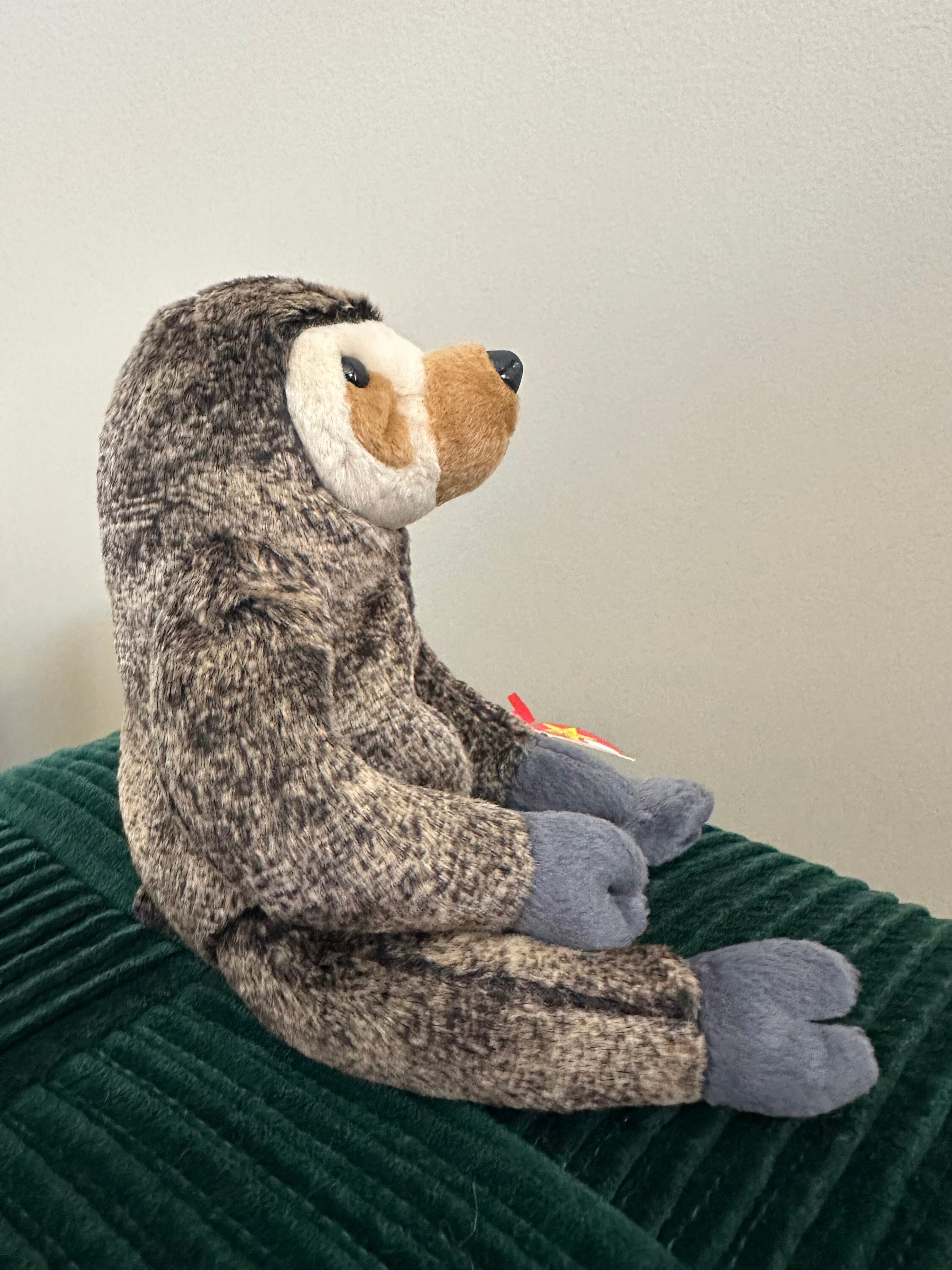 TY Beanie "slowpoke" Sloth, 1999 - Etsy