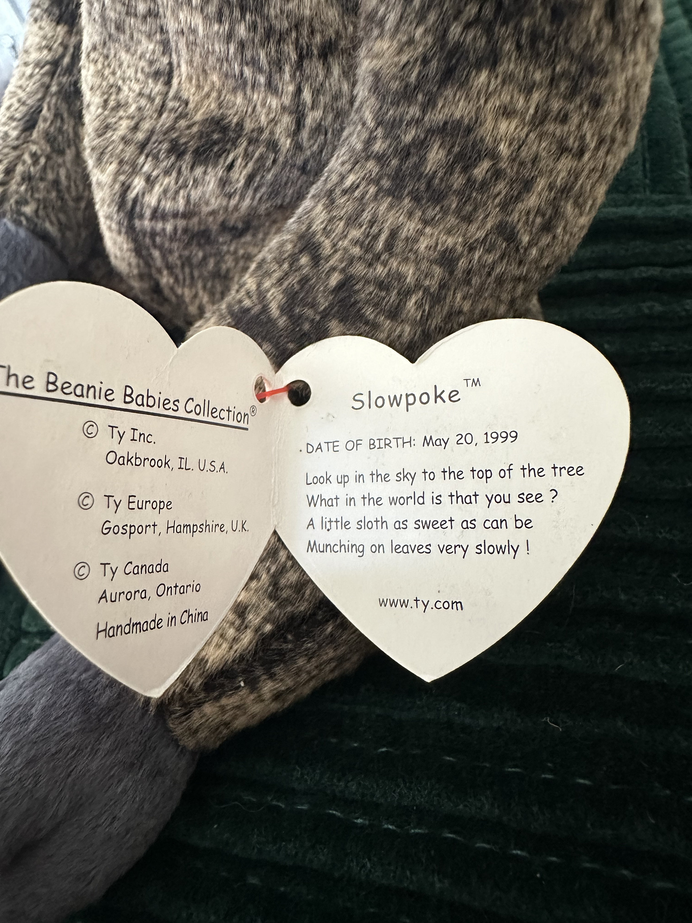 TY Beanie "slowpoke" Sloth, 1999 - Etsy