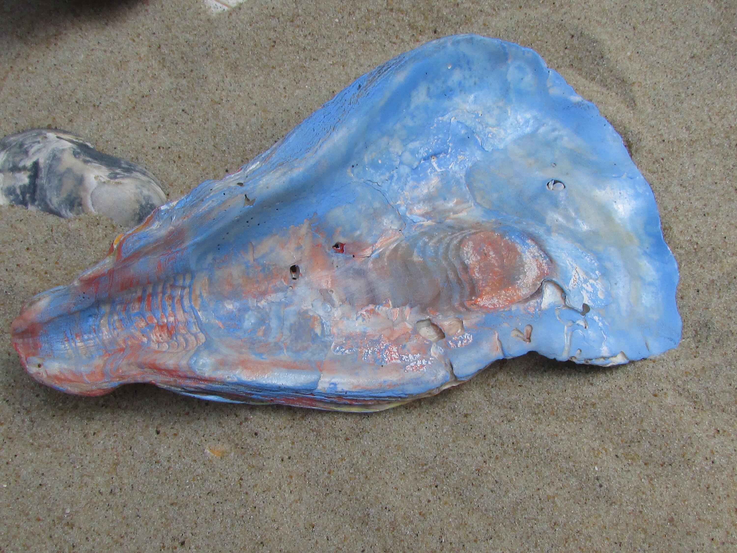 Painted Seashell Sunset Seascape Ocean Beach Art Seashell Art Home ...