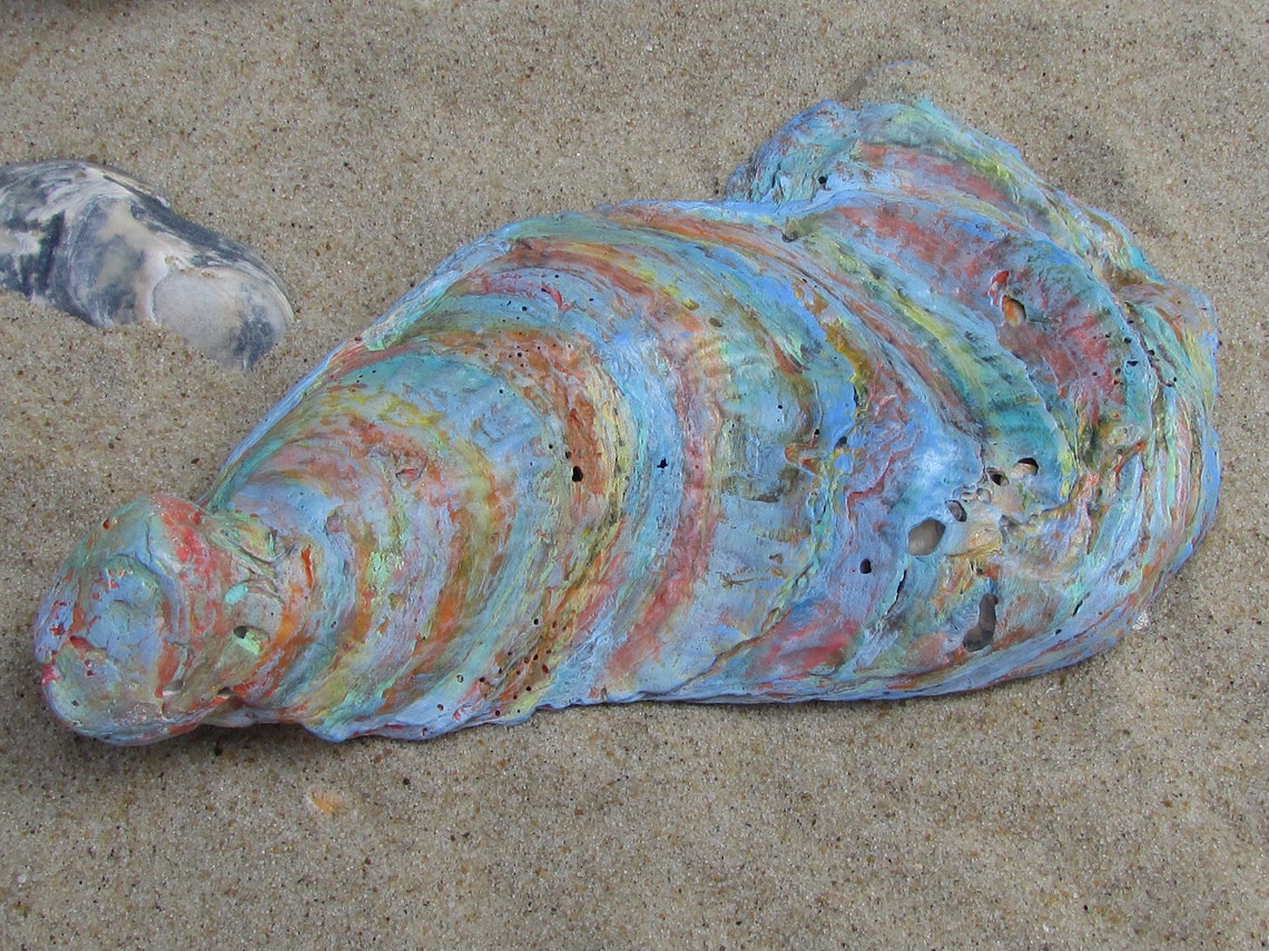 Painted Seashell Sunset Seascape Ocean Beach Art Seashell Art Home ...