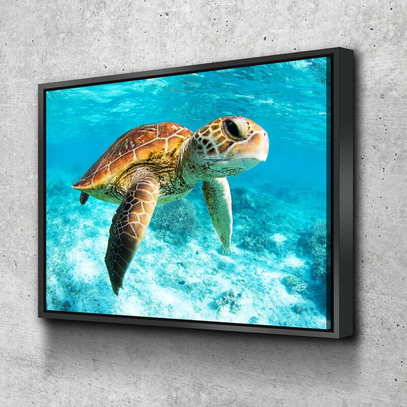 Turtle Picture Frame - Etsy
