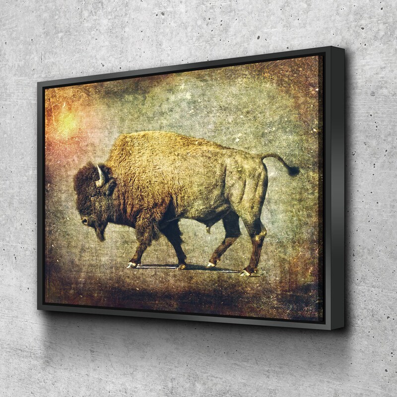 Buffalo Decor - Etsy