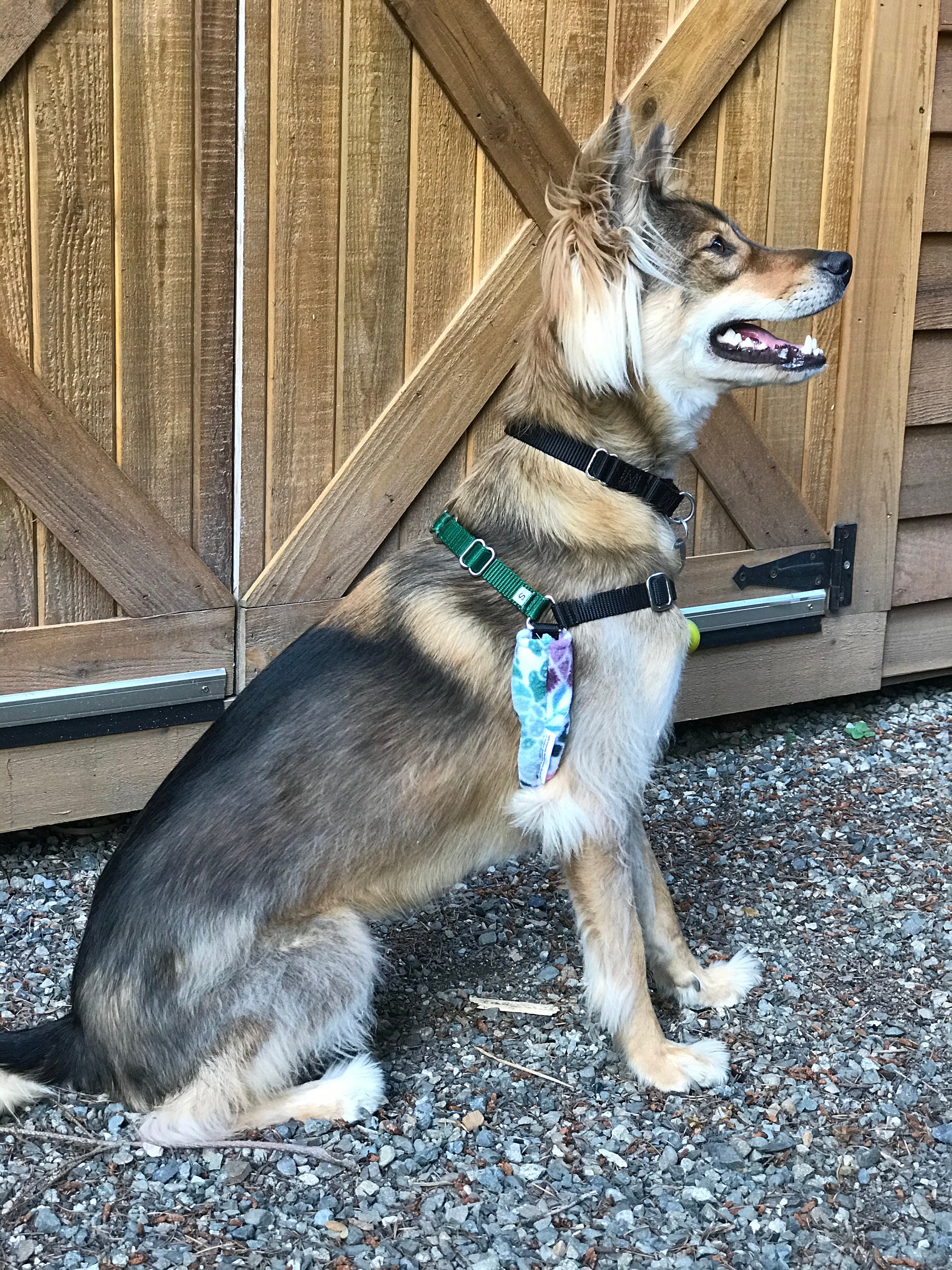 Dog Harness Padding Cover Harness Huggies Soft Fleece - Etsy