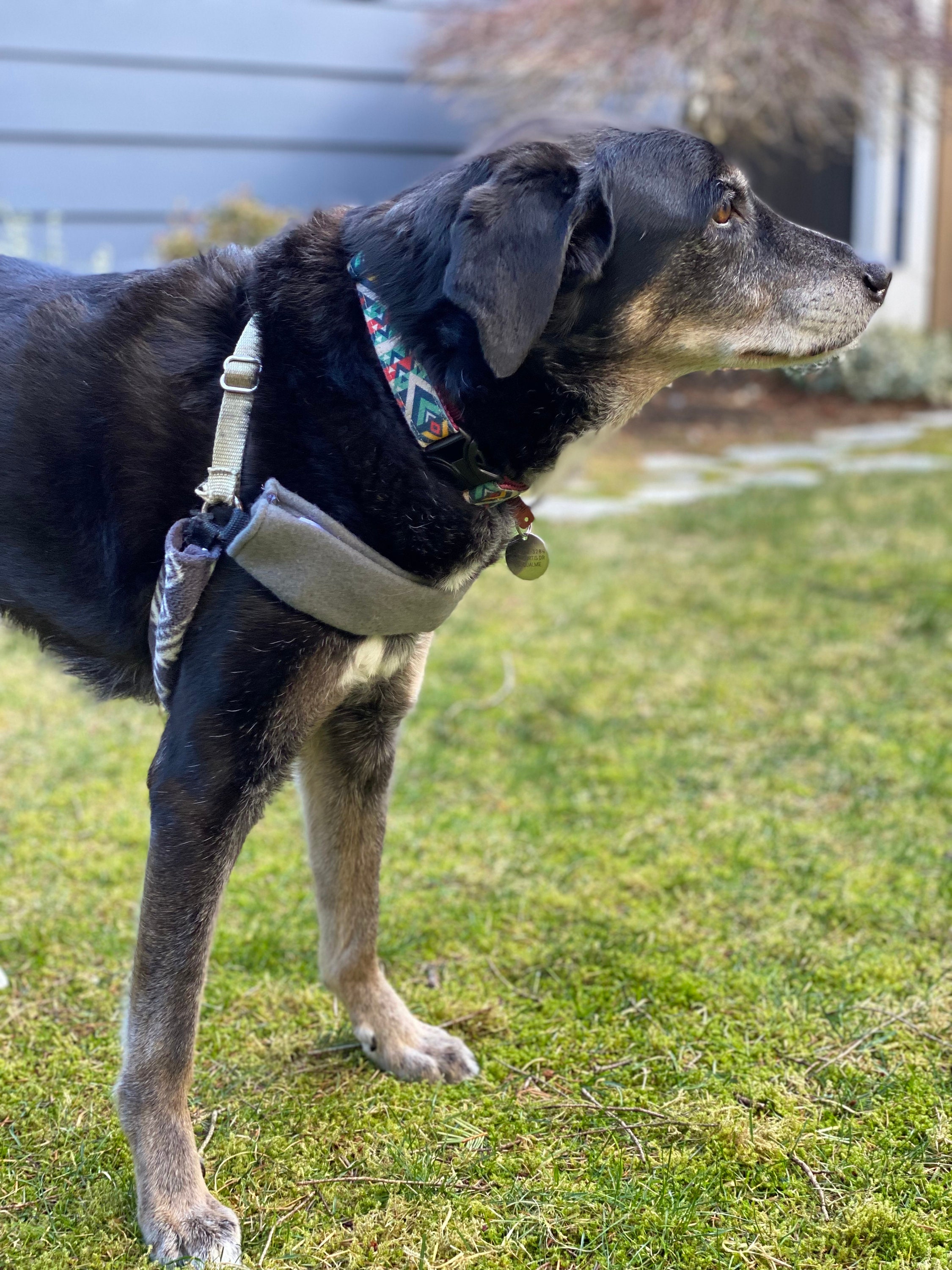 Wrap Style Dog Harness Padding Cover - Harness Huggies | Soft Fleece ...