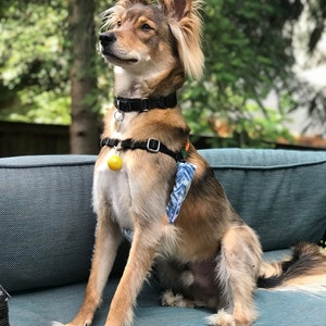 Dog Harness Padding Cover - Harness Huggies | Soft Fleece Fabric Dog ...