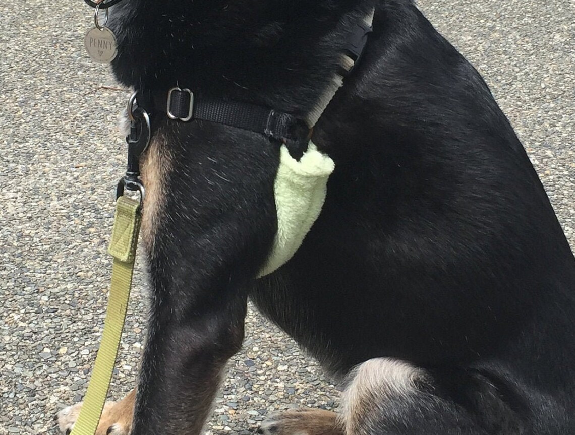 Dog Harness Padding Cover Harness Huggies Soft Fleece | Etsy