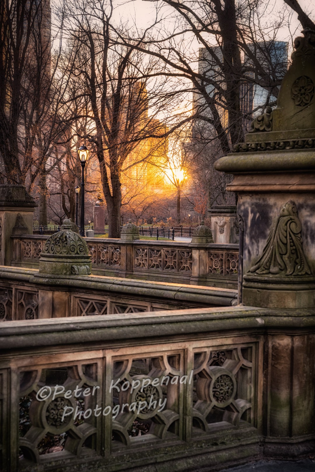 Central Park Sunset, NYC Photography, New York City Wall Art, Manhattan ...