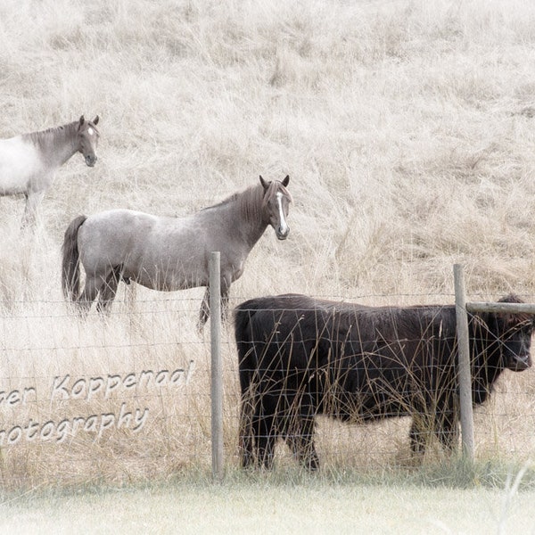 Farmhouse Decor Rustic Country - Etsy