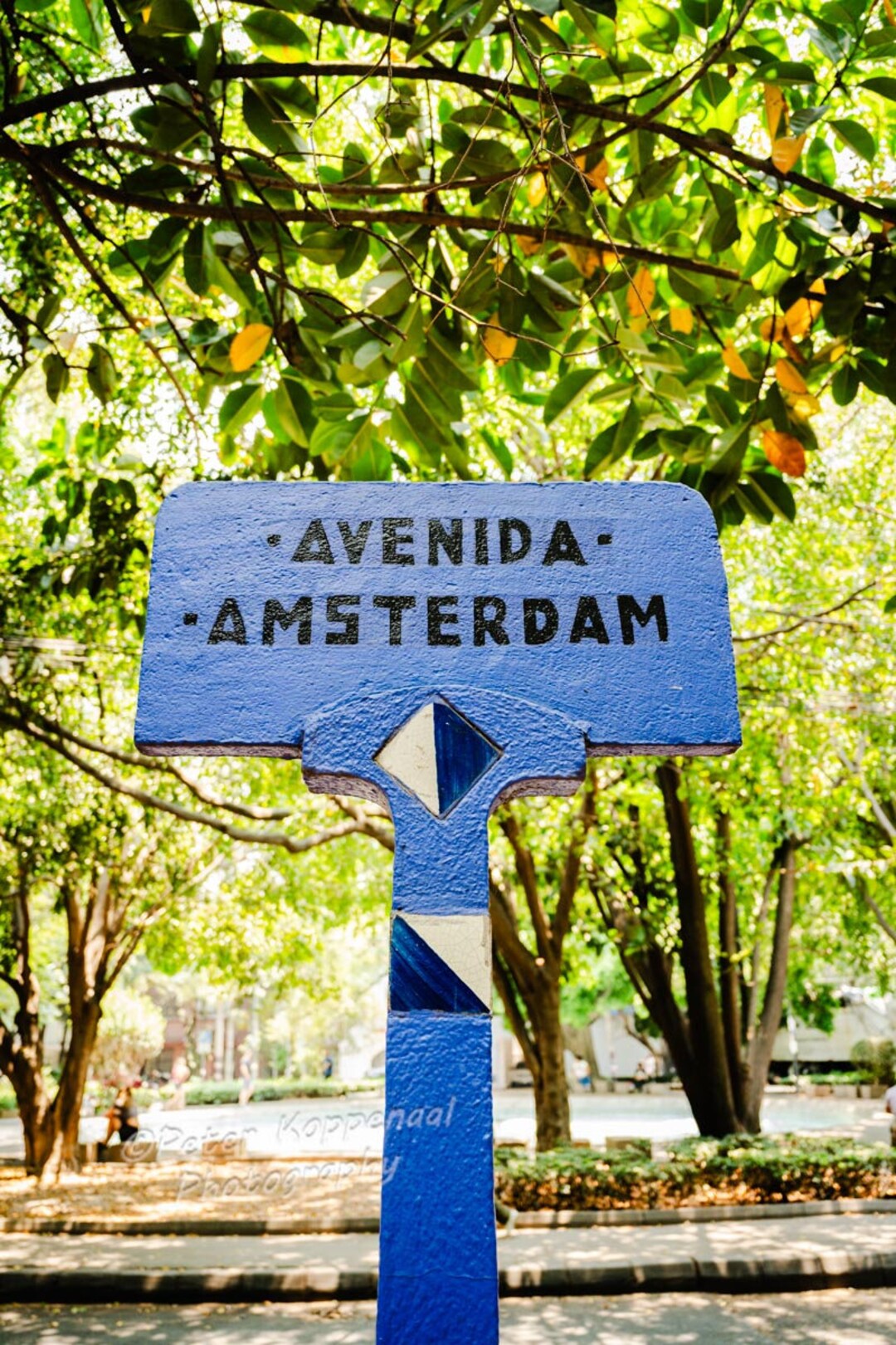 Amsterdam Avenue Mexico City Street Sign, Mexican Art, La Condesa ...