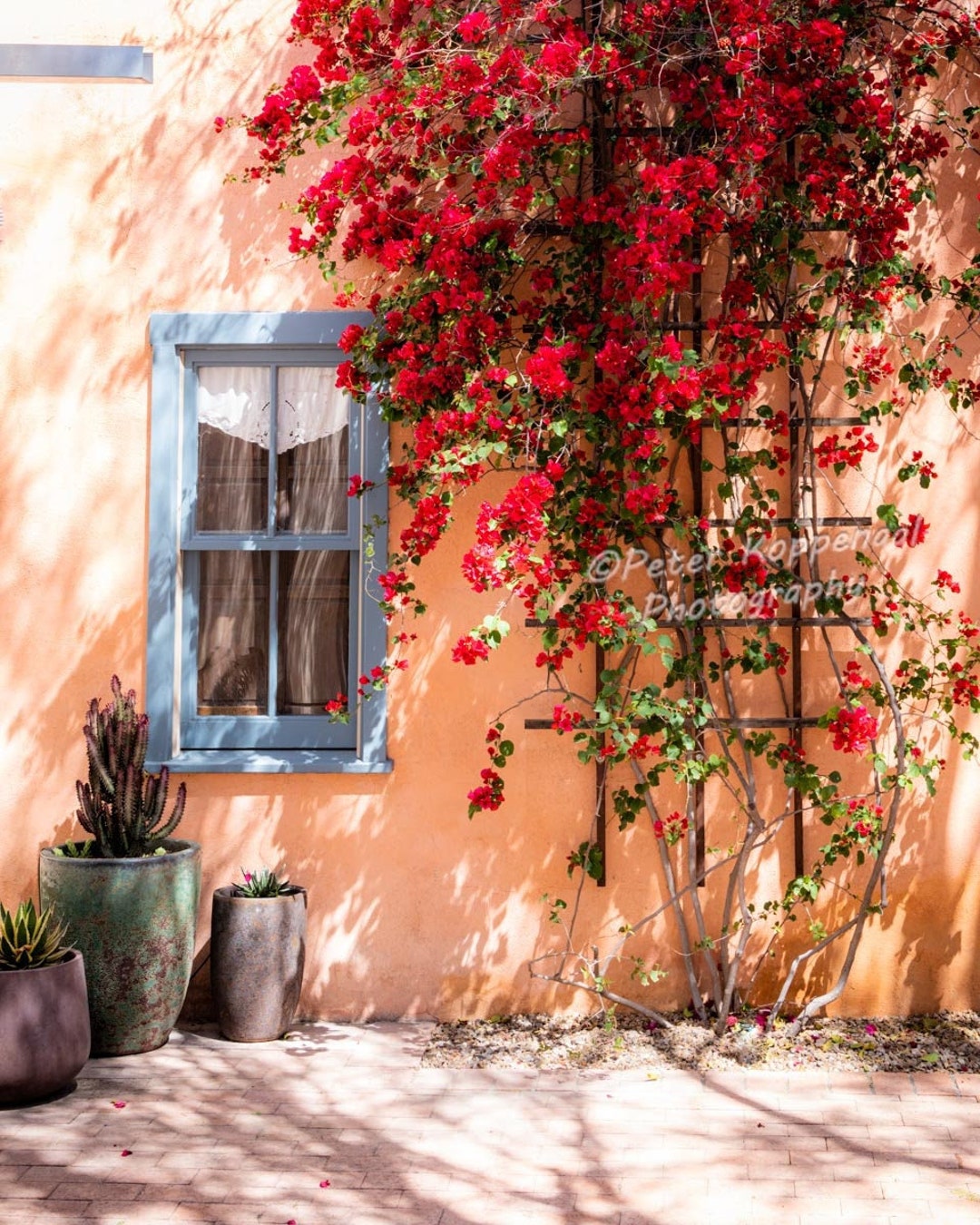 Red Flower Trellis Courtyard, Tucson Arizona, Southwest Decor, Arizona ...