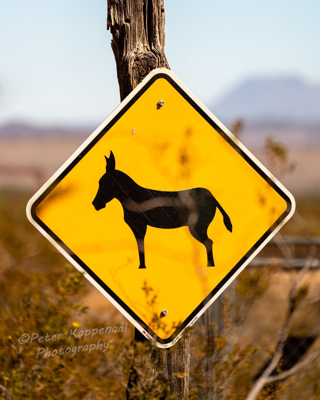 Donkey Wall Art, Burro Crossing Sign, Southwest Decor, Texas Wall Art ...