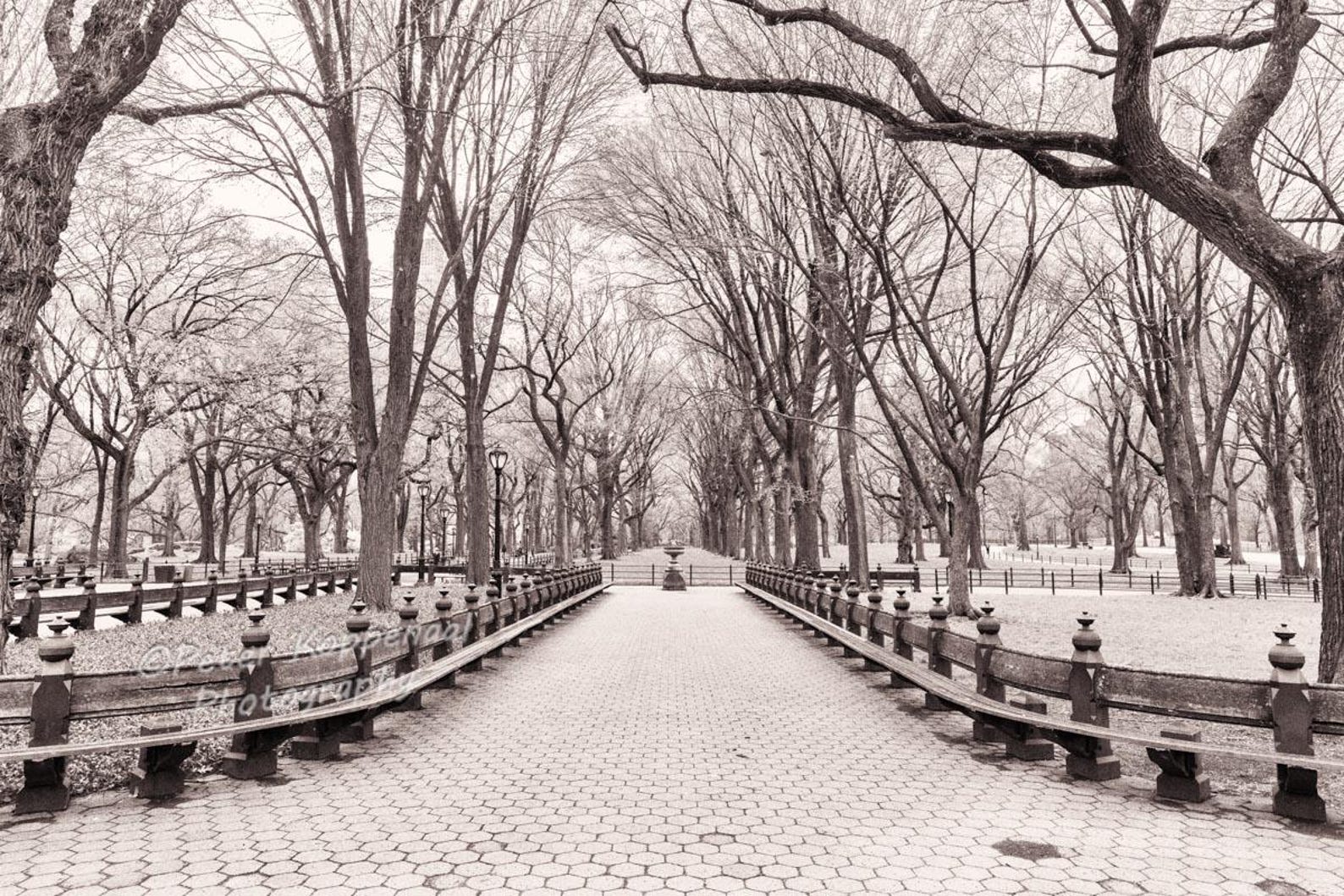 Central Park Poet's Walk, Mall, NYC Photography, New York City Wall Art ...