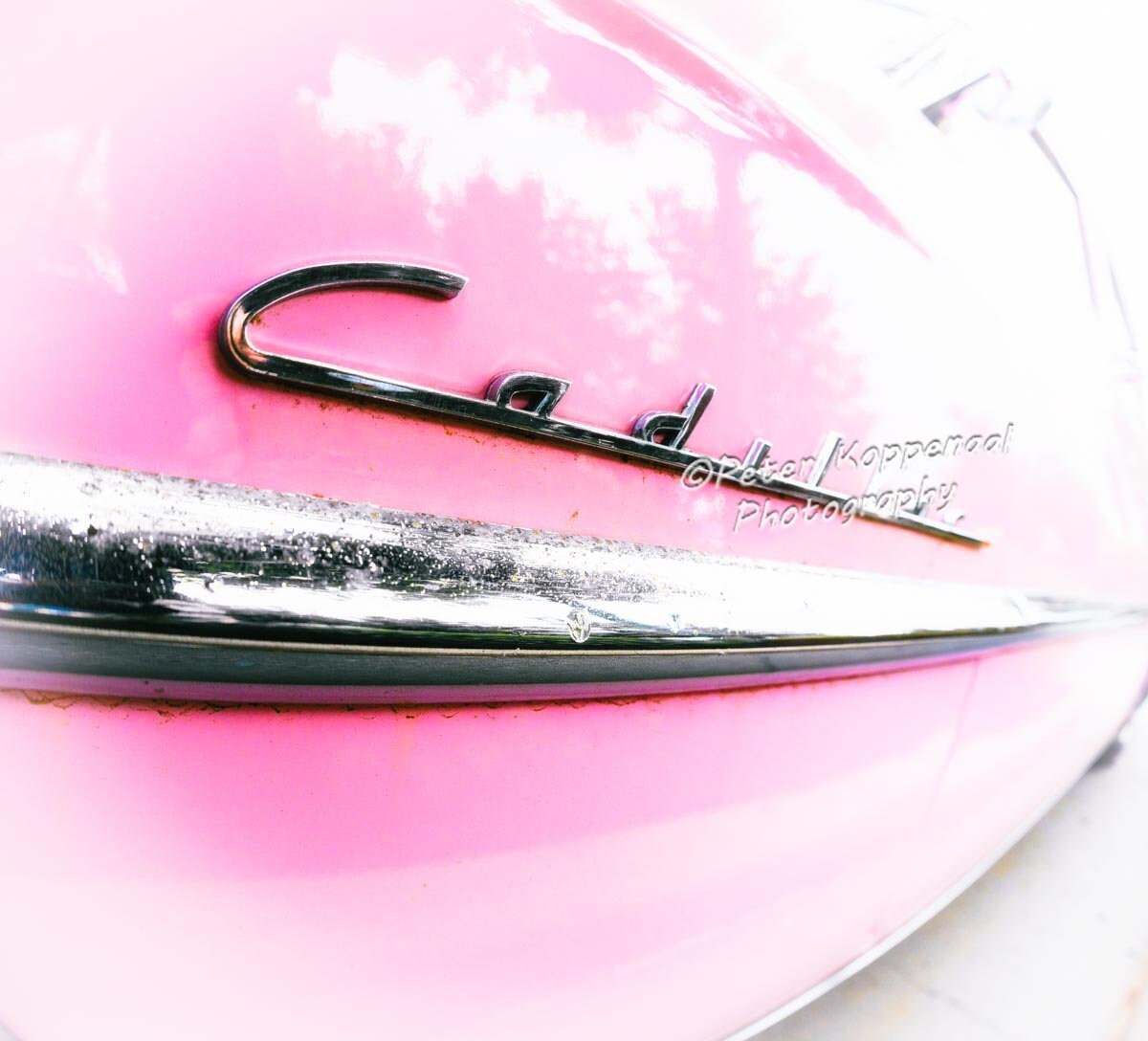 Pink Cadillac Logo, Chrome Cadillac Emblem, Classic Car Photograph ...