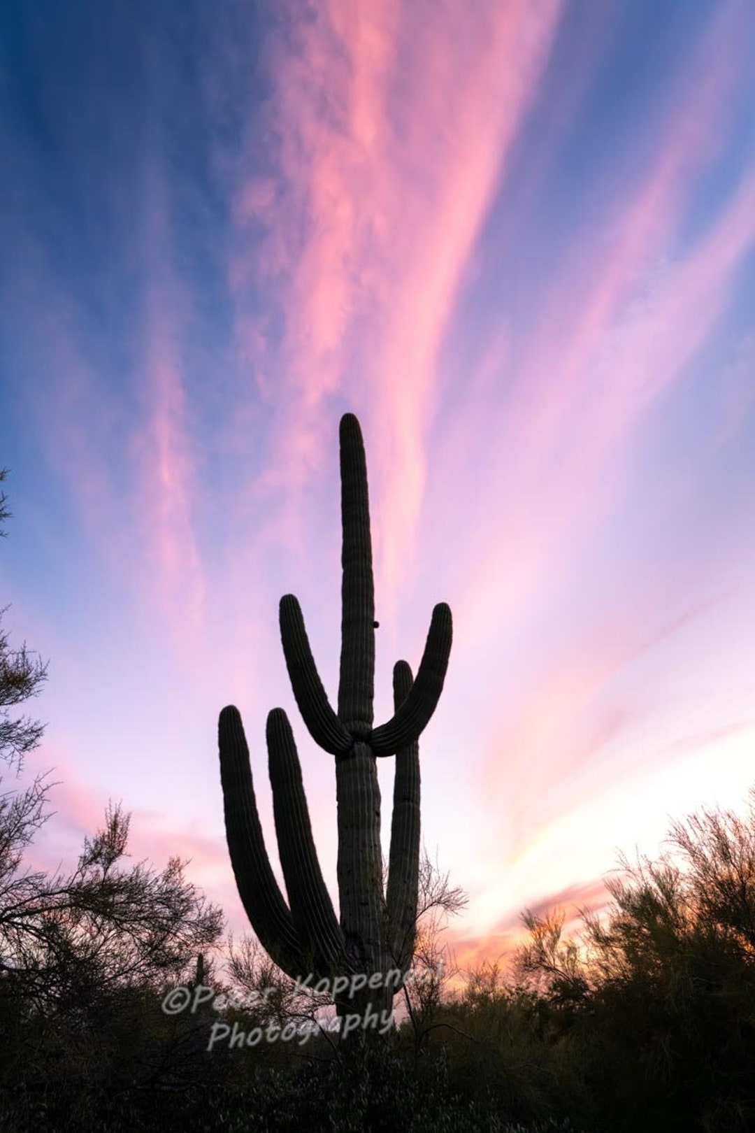 Saguaro Cactus Sunset, Arizona Wall Art, Superstition Mountains ...