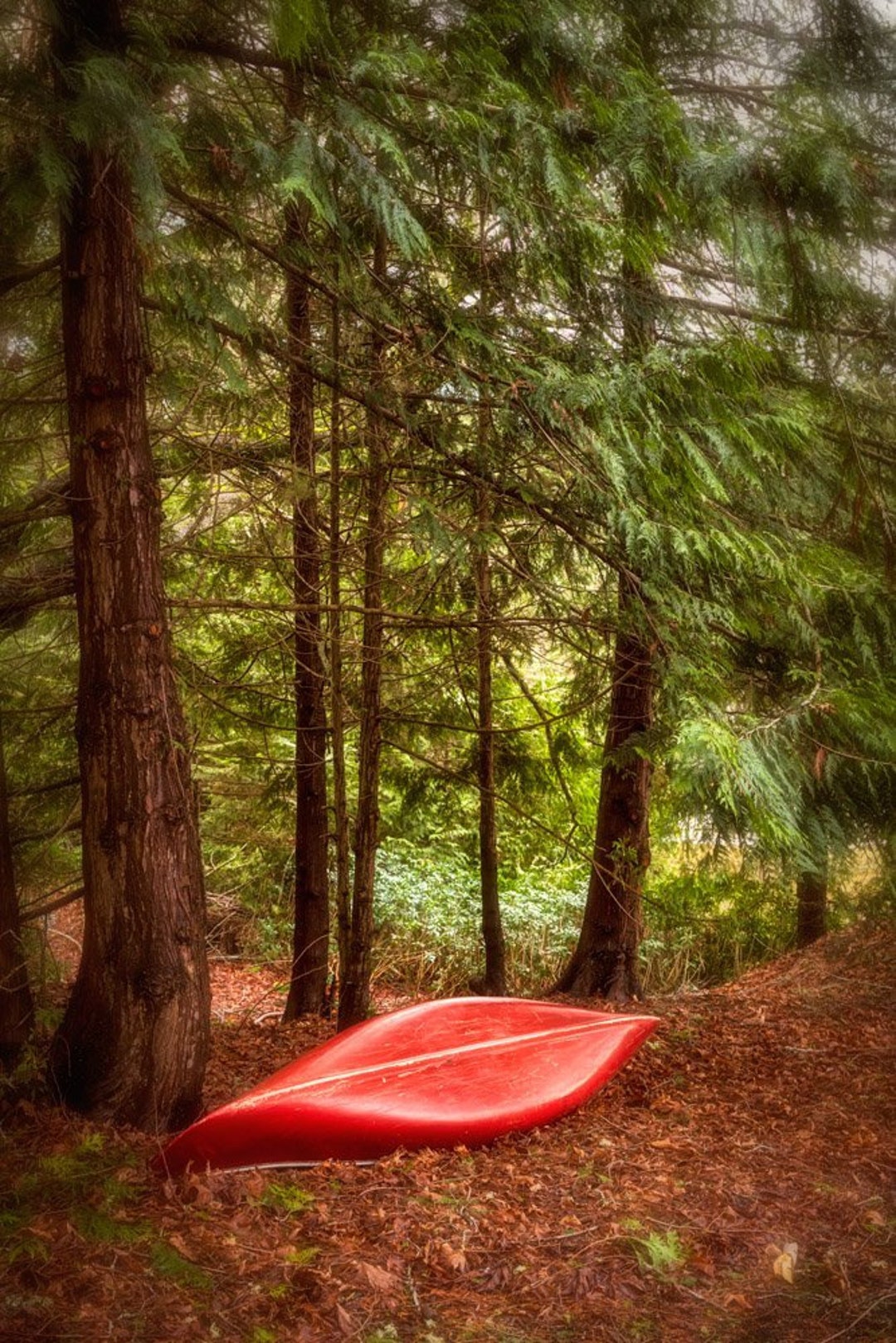 Red Canoe, Northwest Coast, Canoe Art, Canoe Decor, Evergreen Trees ...