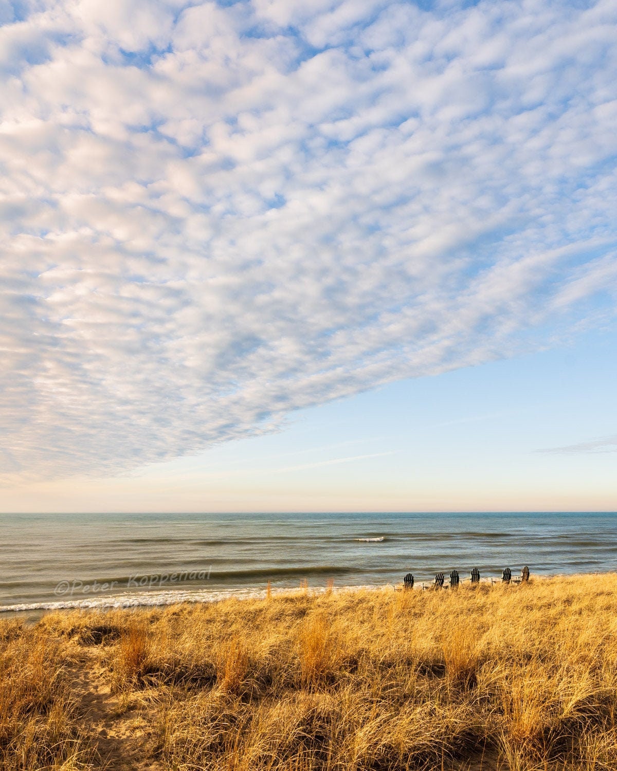 Lake Michigan Beach Chair View, Clouds Dune Grass Print, BOHO Modern ...