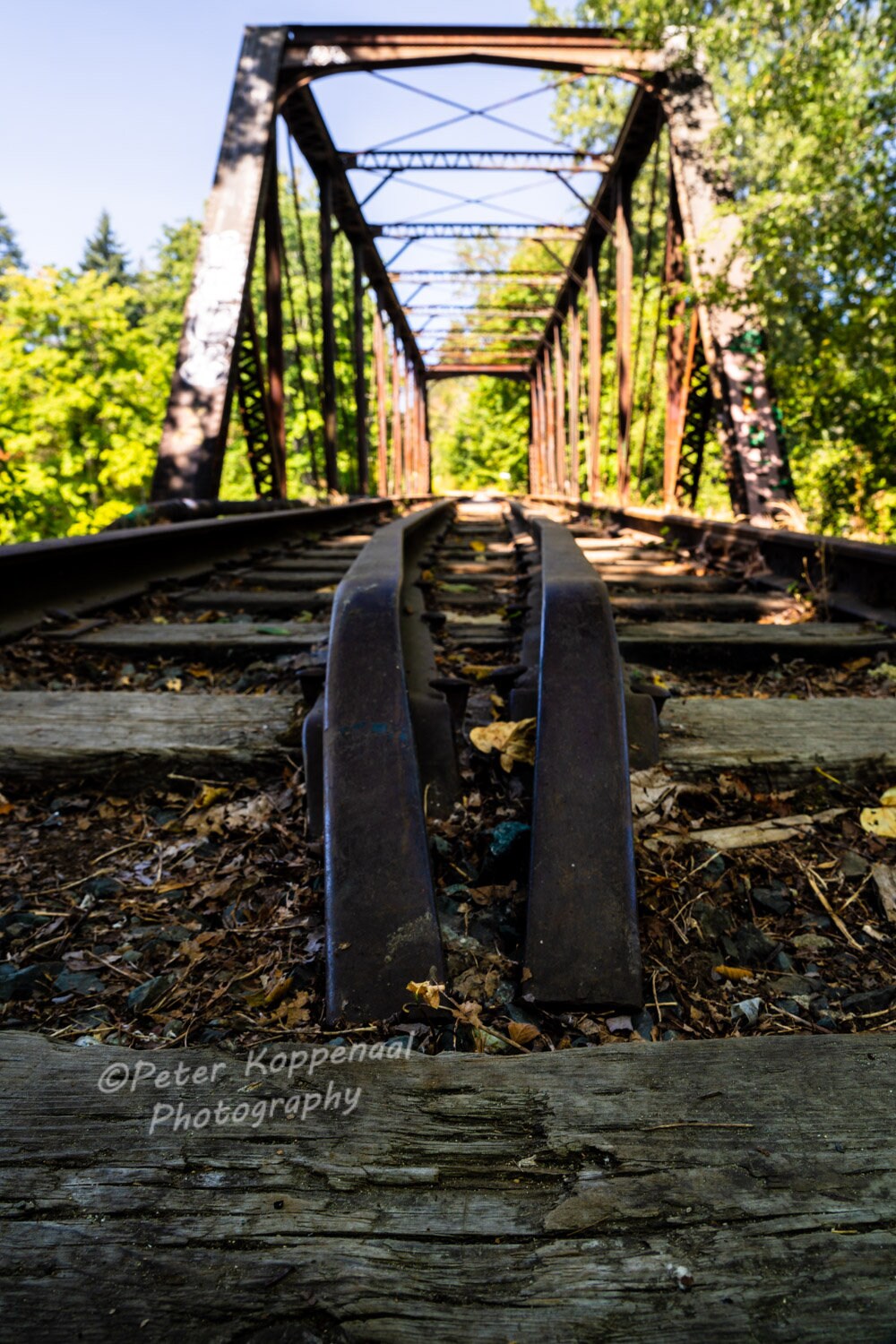 Rustic Railroad Bridge Print, Abandoned Fine Art Photography, Boho ...
