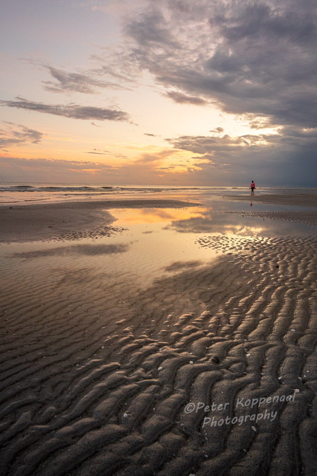 Sanibel Island Art, Beach Walker, Sand Ripples, Florida Gulf Coast ...