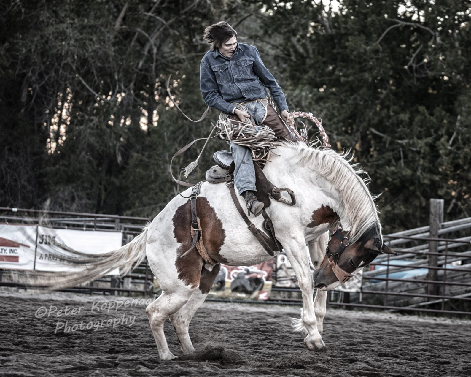No Traffic Jams Inspirational Bucking Bronco Rider, Palomino Horse Wall ...
