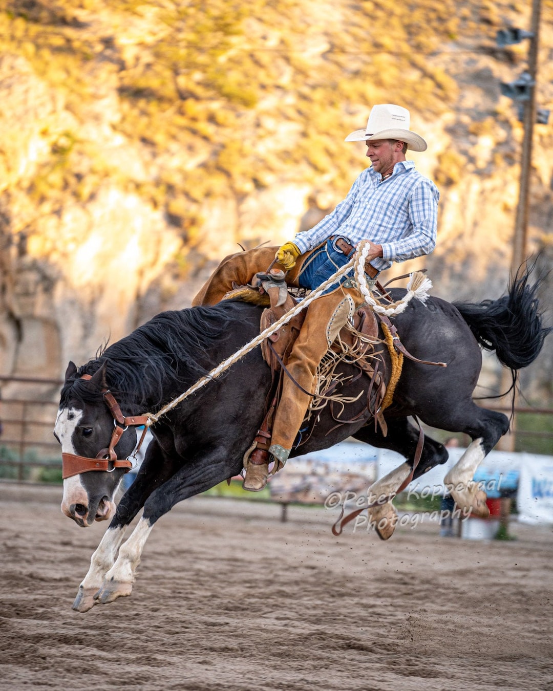 Bucking Bronco Rodeo Photography, Wyoming Photography, Western Wall Art ...