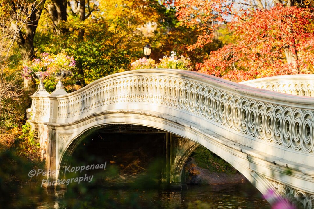 Central Park Bow Bridge in Fall Foliage, NYC Photography, Newyork City ...