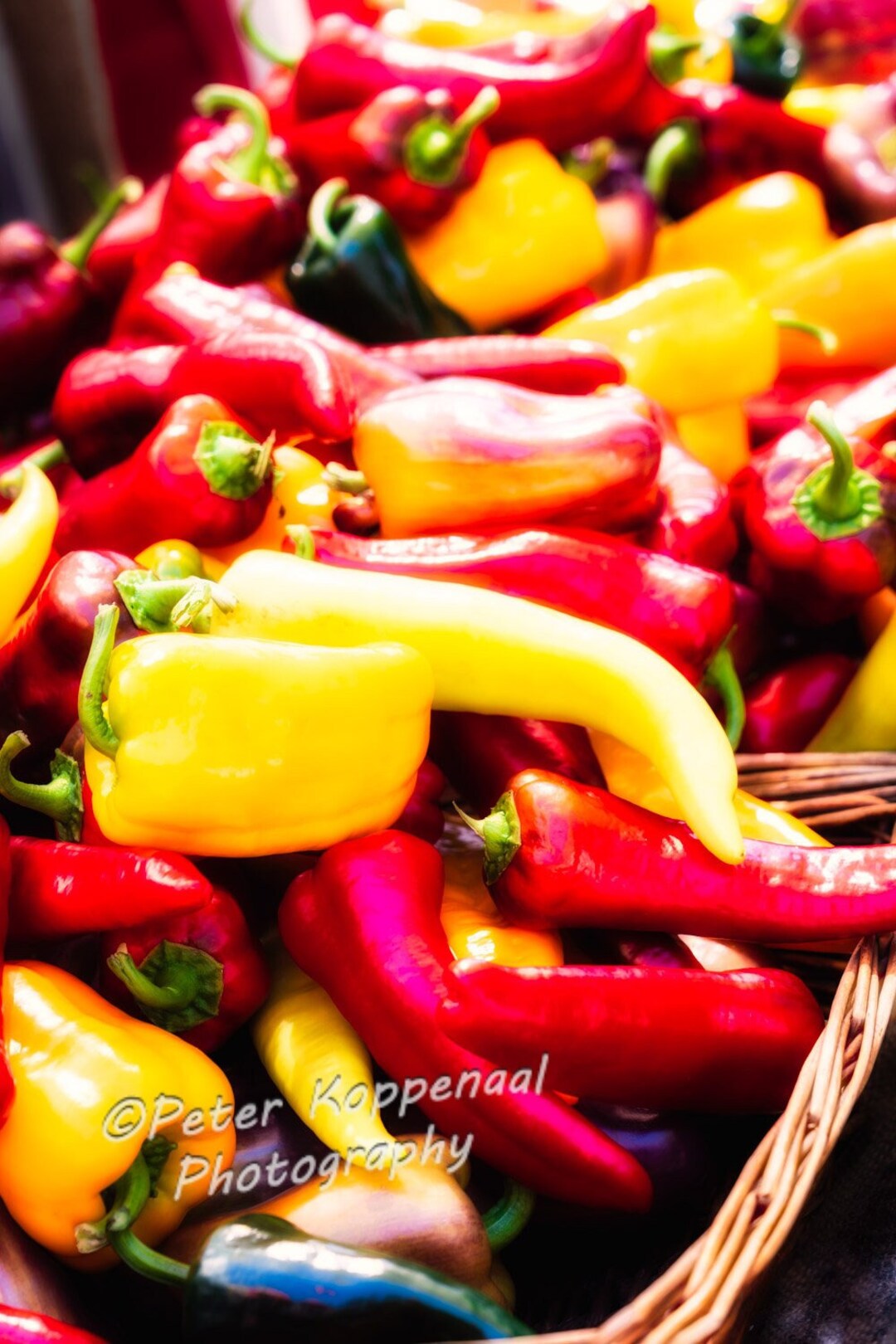 Market Vegetable Pepper Basket Print, Kitchen Wall Art, Gift for Chef ...