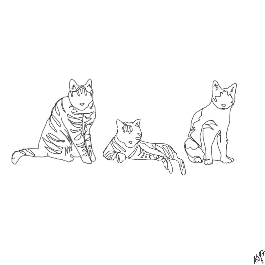 CONTOUR LINE ART Custom Contour Line Art Pet Portraits | Etsy