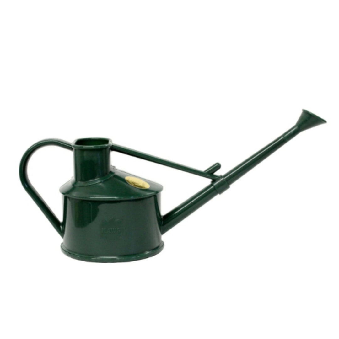 Elegant Mini Watering Can Perfect Size for Indoor Plants and Seedlings ...