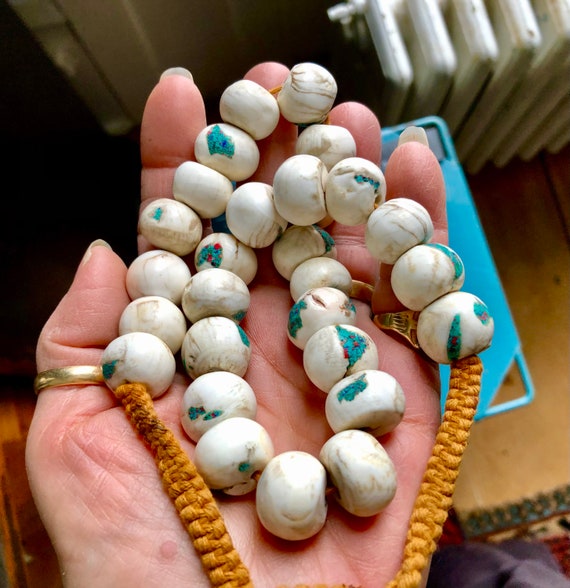 Tibetan chank shell - Gem