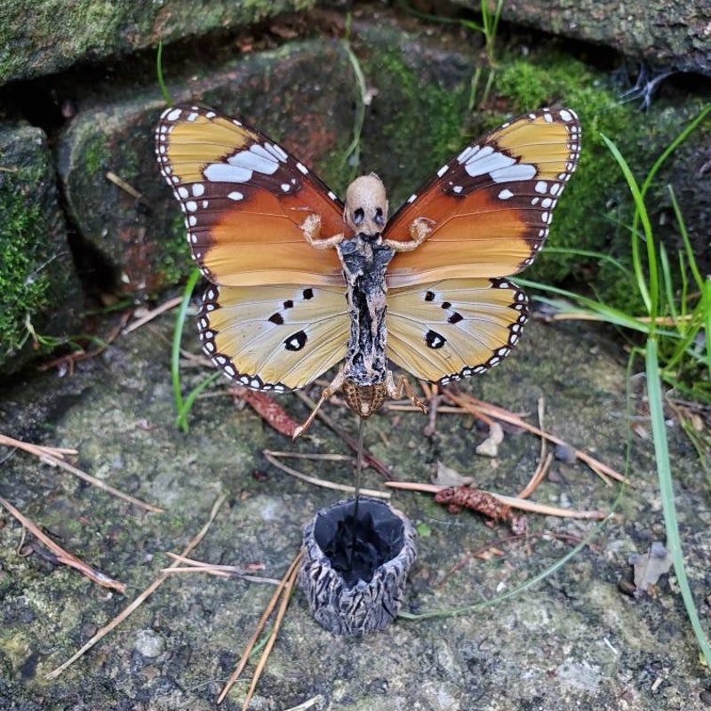 Weird Taxidermy - Etsy