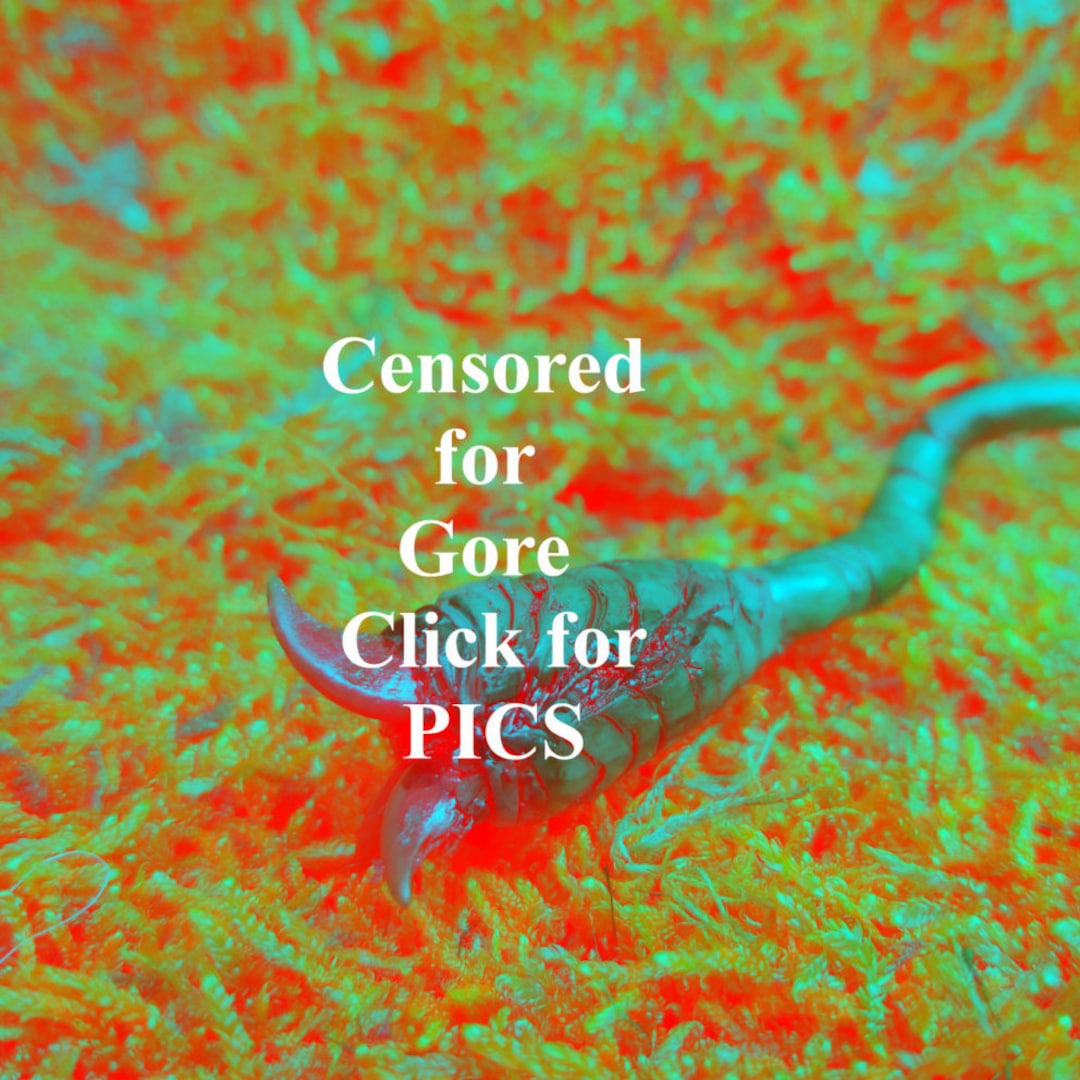 Parasitic Worm From Werewolf Heart and Lungs - Odd Specimen for a ...