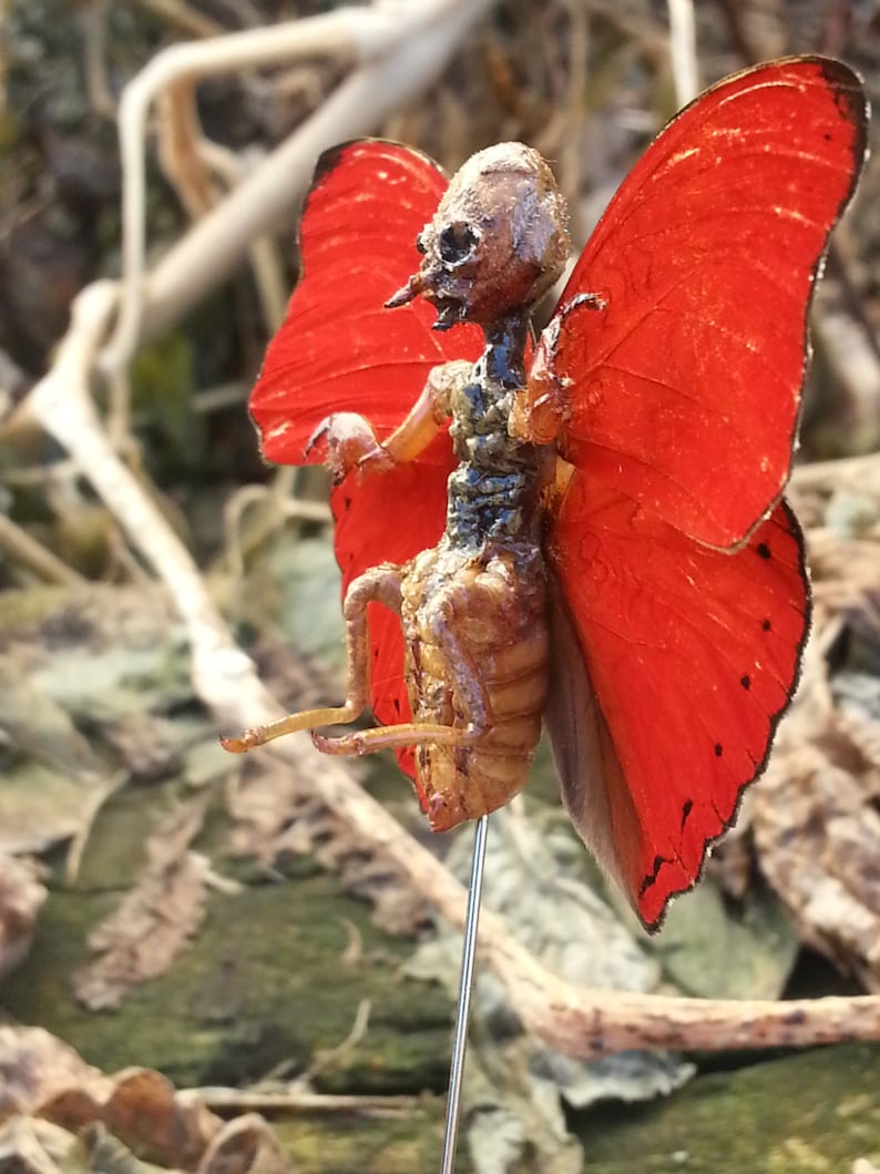 Blood Glider Pixie Macabre Oddity Dead Fairy Horror Prop for - Etsy