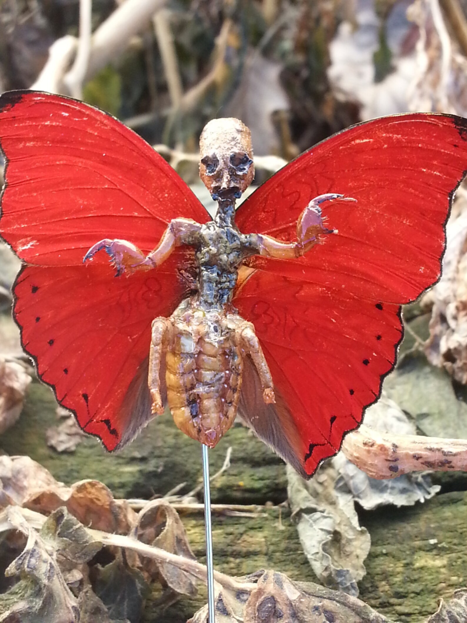 Blood Glider Pixie Macabre Oddity Dead Fairy Horror Prop for - Etsy