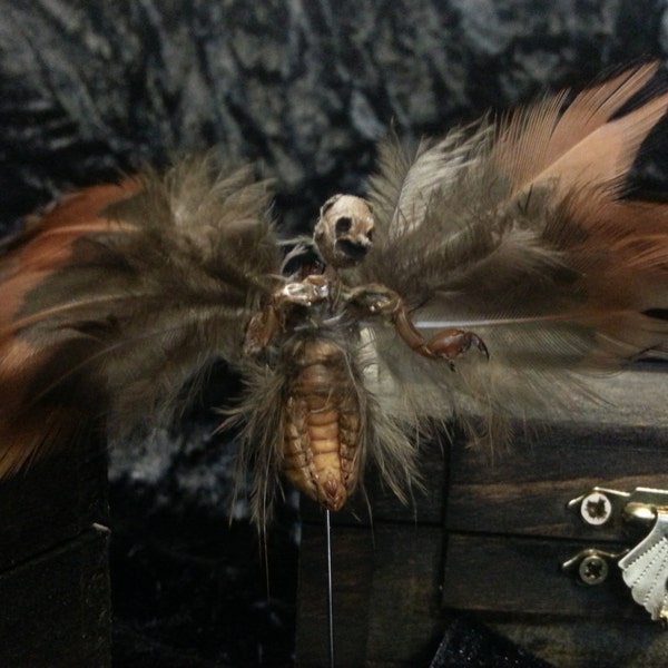 Dead Fairy - Etsy