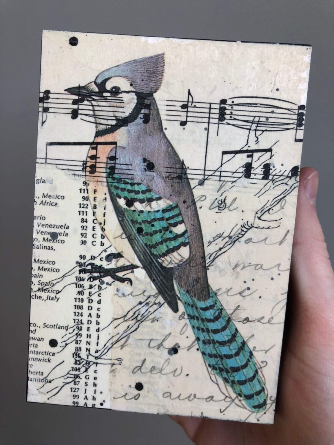 Blue Jay Artwork, Blue Jay Mixed Media Collage, Bird Collage Art - Etsy