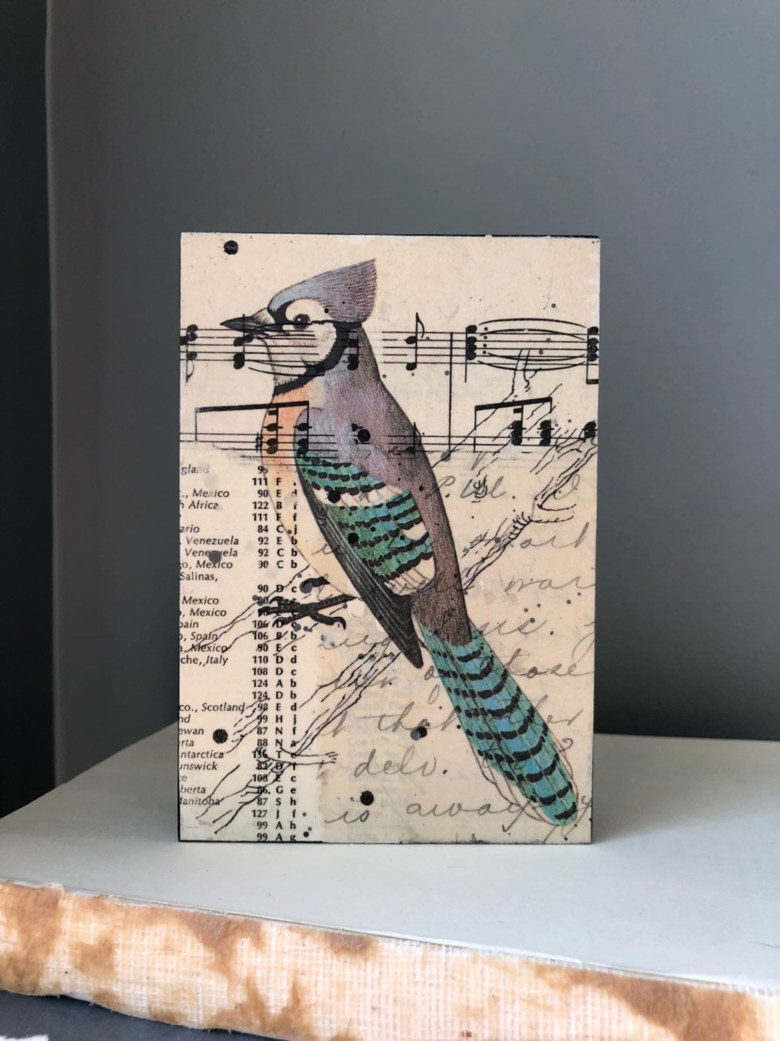 Blue Jay Artwork, Blue Jay Mixed Media Collage, Bird Collage Art - Etsy