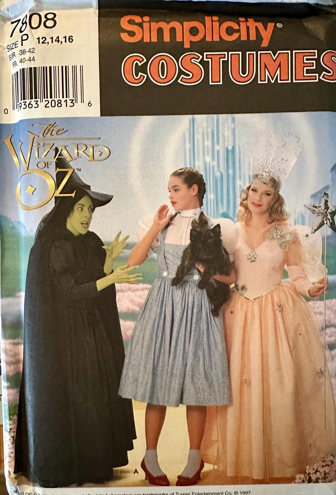 Dorothy / Wicked Witch / Glenda Costume - Wizard of OZ- Simplicity ...