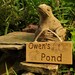 Personalised Wooden Pond Sign/oak Plaque/garden/water Feature/fish/frog ...
