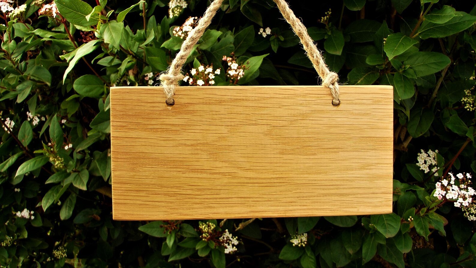 Bug House Plaque Outdoor Wooden Sign Bugingham Palace Garden | Etsy UK