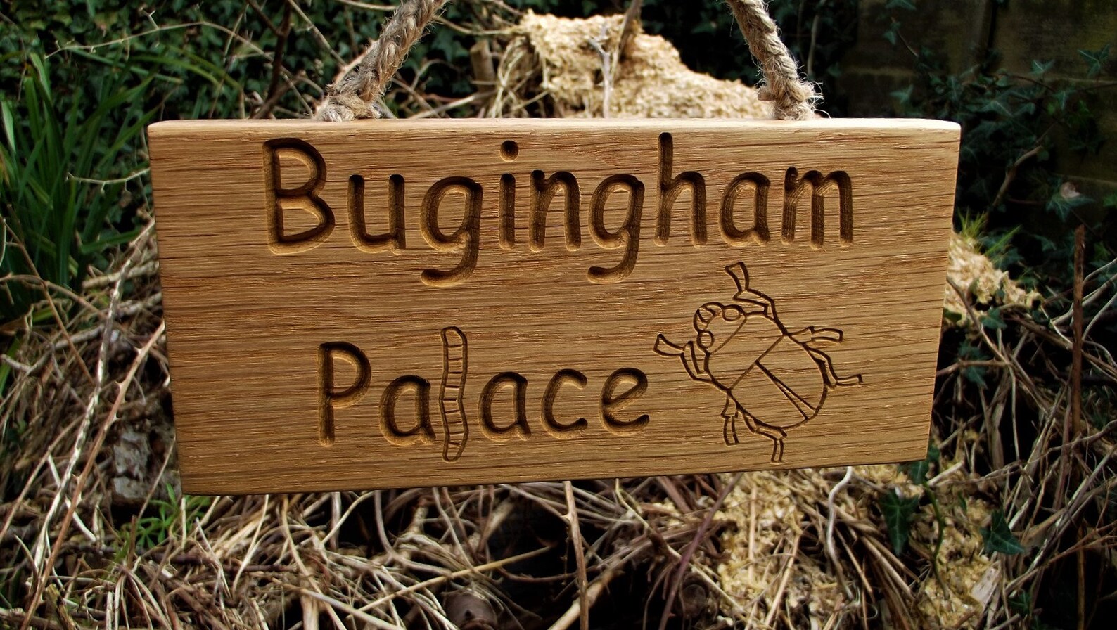 Bug House Plaque Outdoor Wooden Sign Bugingham Palace or - Etsy UK