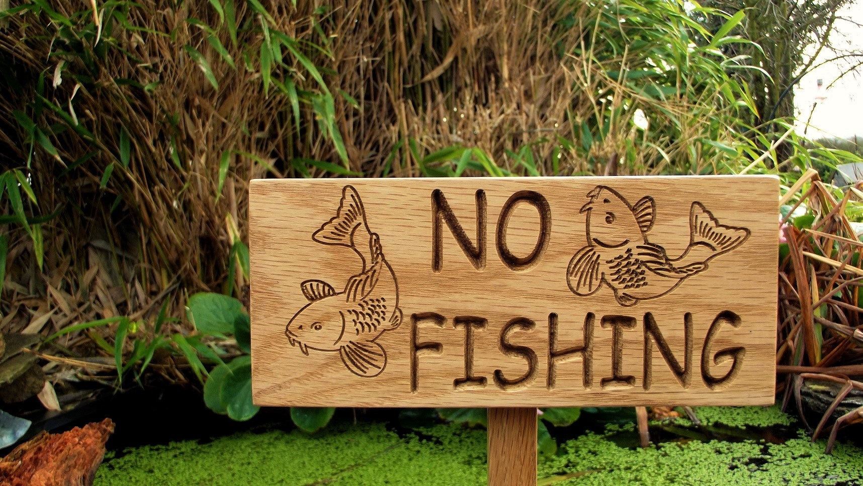 NO FISHING plaque/Carved Oak Garden Pond Sign/Wooden Gift | Etsy
