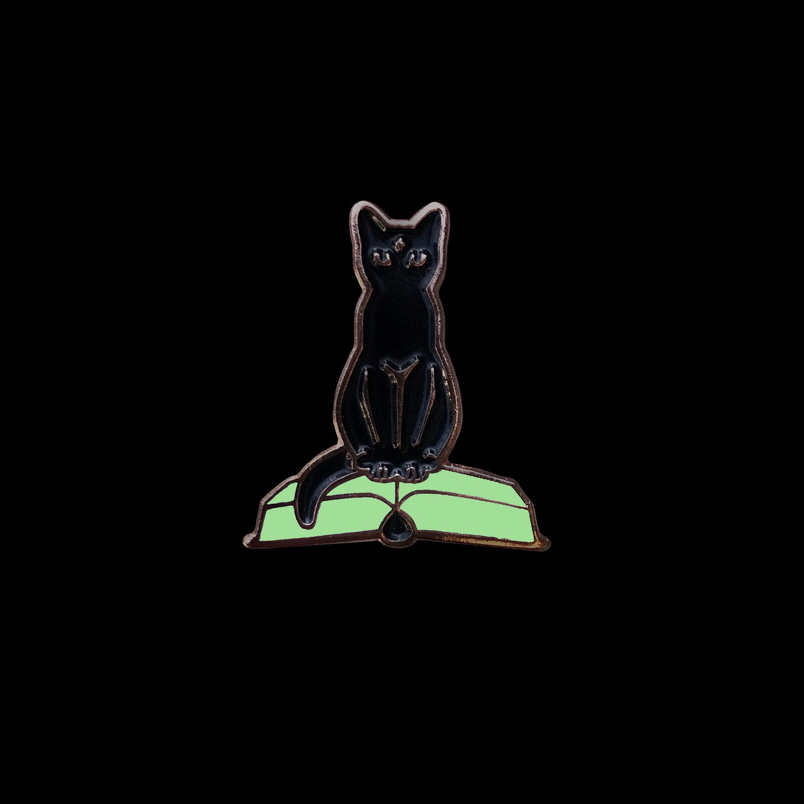 Spell Book Kitty Enamel Pin | Black Cat Glow in the Dark Open Book - Etsy