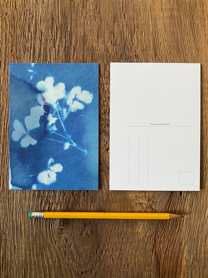 Cyanotype Postcard Multipack - Etsy